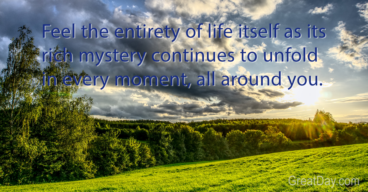 The Daily Motivator - Feel life