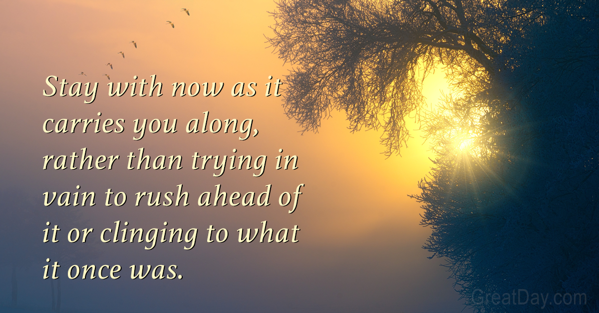 The Daily Motivator - Stay with now