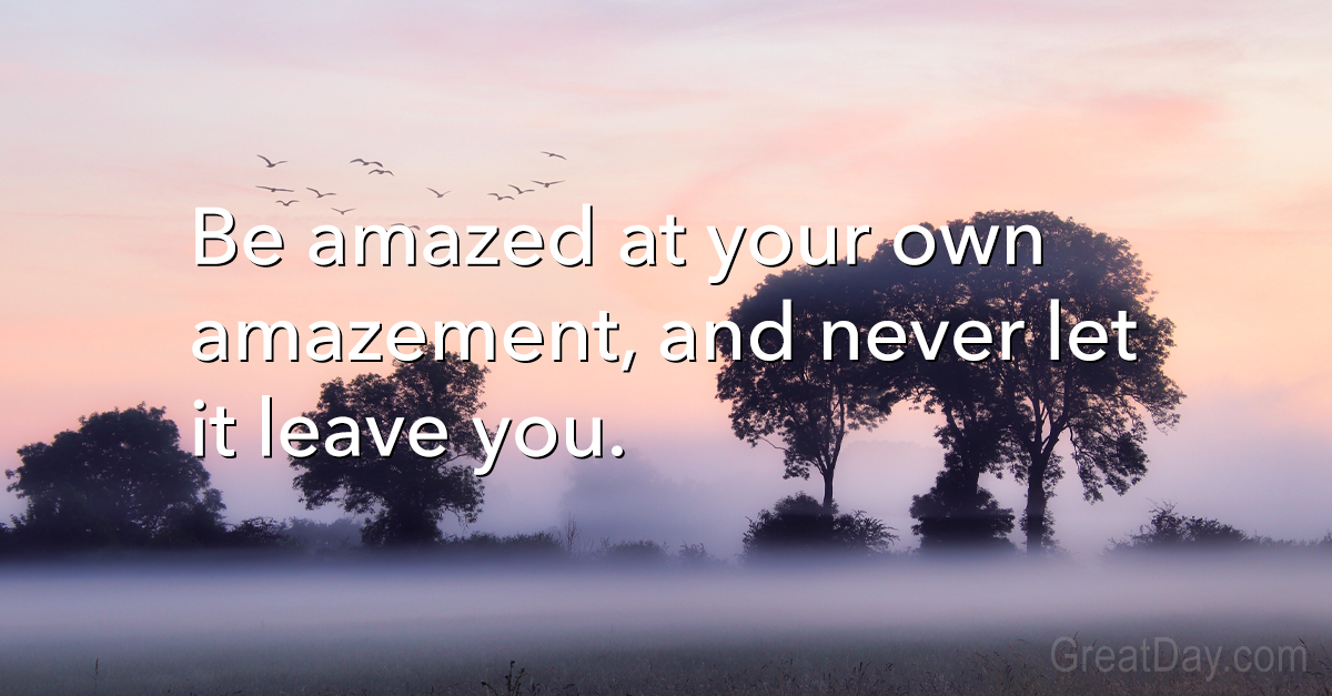 The Daily Motivator - Be amazed
