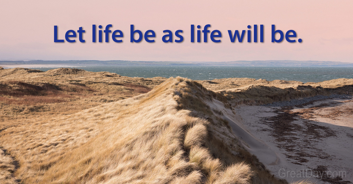The Daily Motivator - Let life be