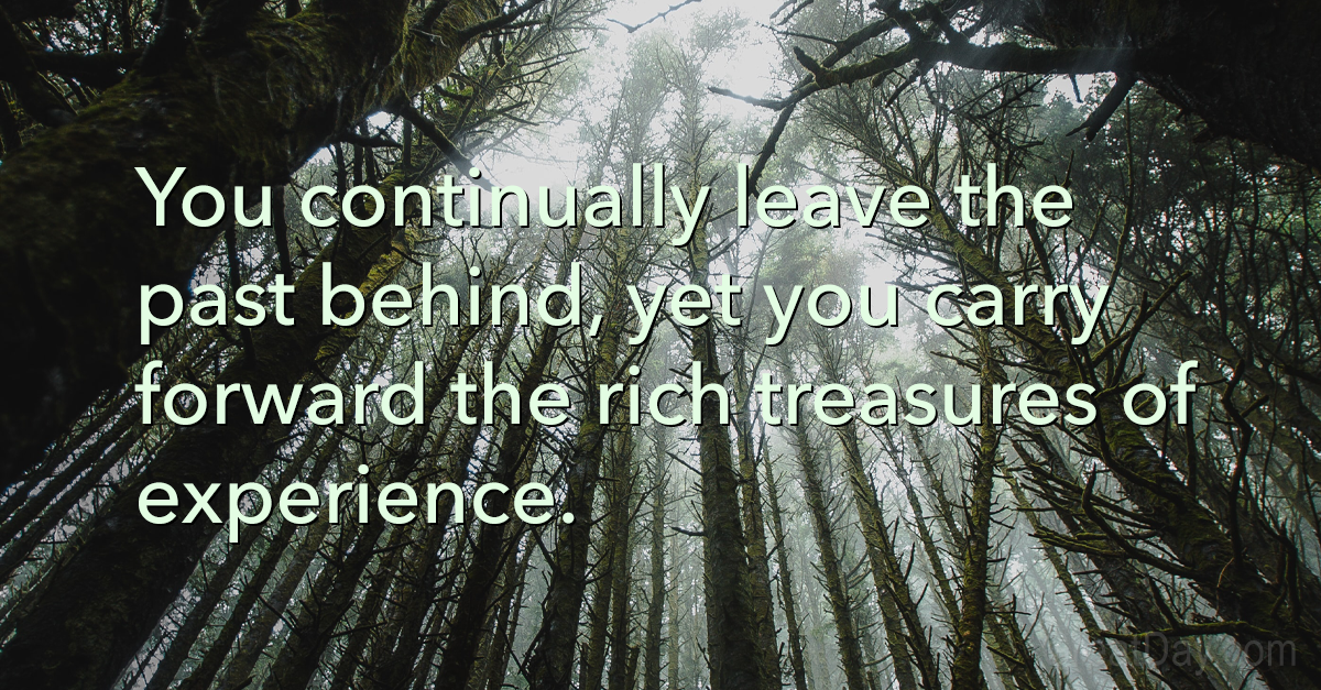 The Daily Motivator - Treasures of experience