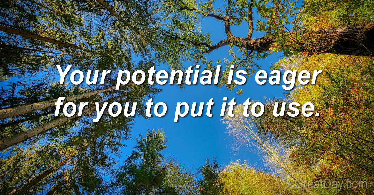 The Daily Motivator - Your potential
