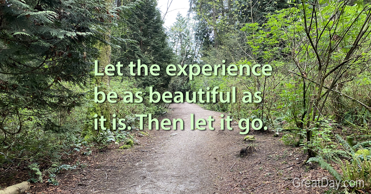 The Daily Motivator - Beautiful experience