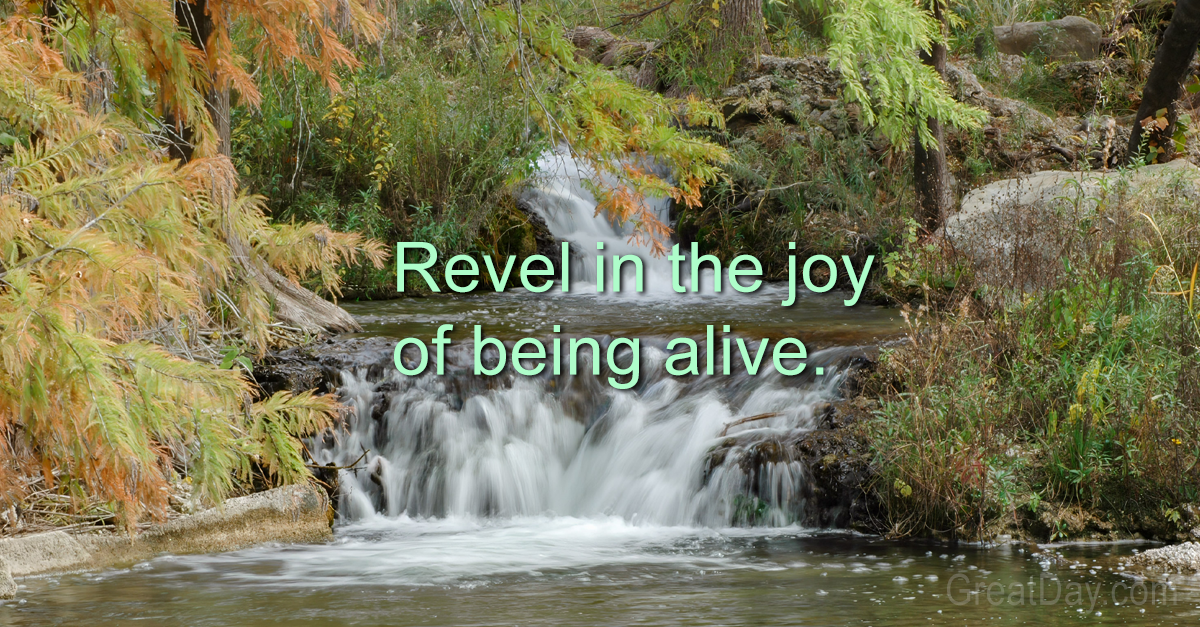 The Daily Motivator - Find delight