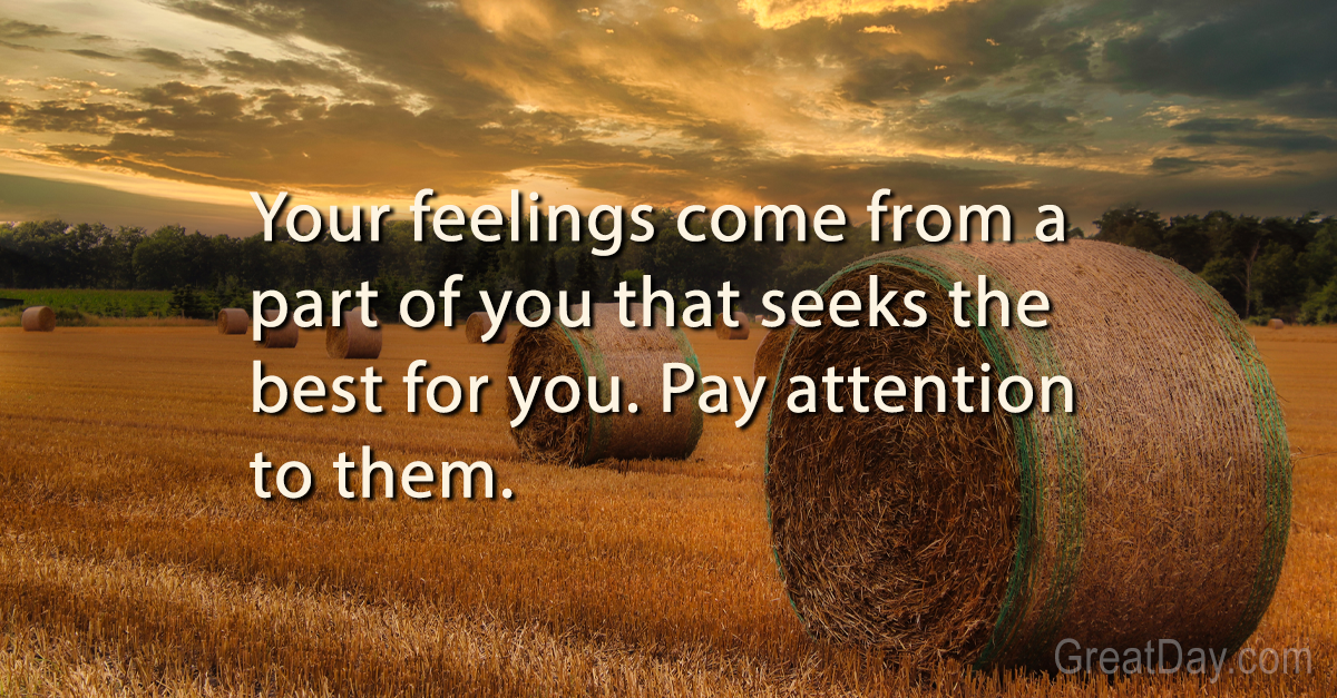 The Daily Motivator - Attend to your feelings