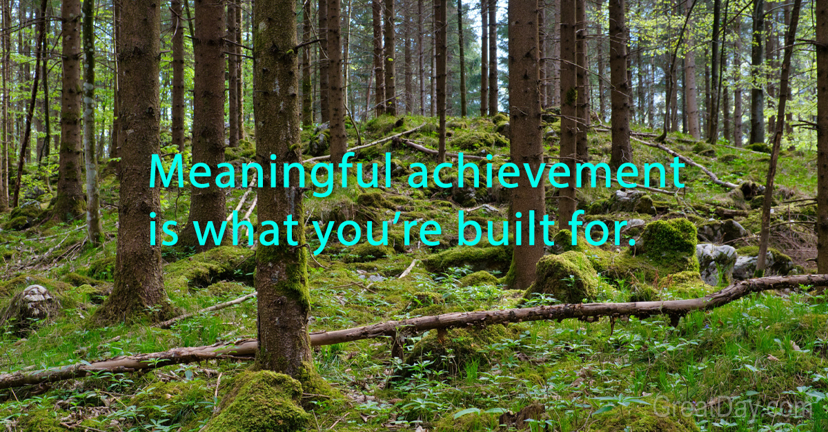 The Daily Motivator - Meaningful achievement